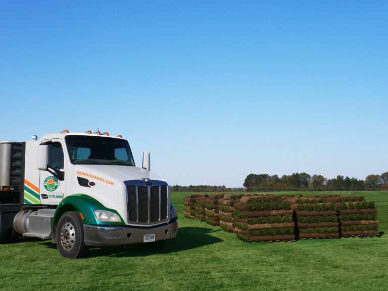 Finding the Best Sod Farm Near You in Indianapolis - Genesis Sod Farm