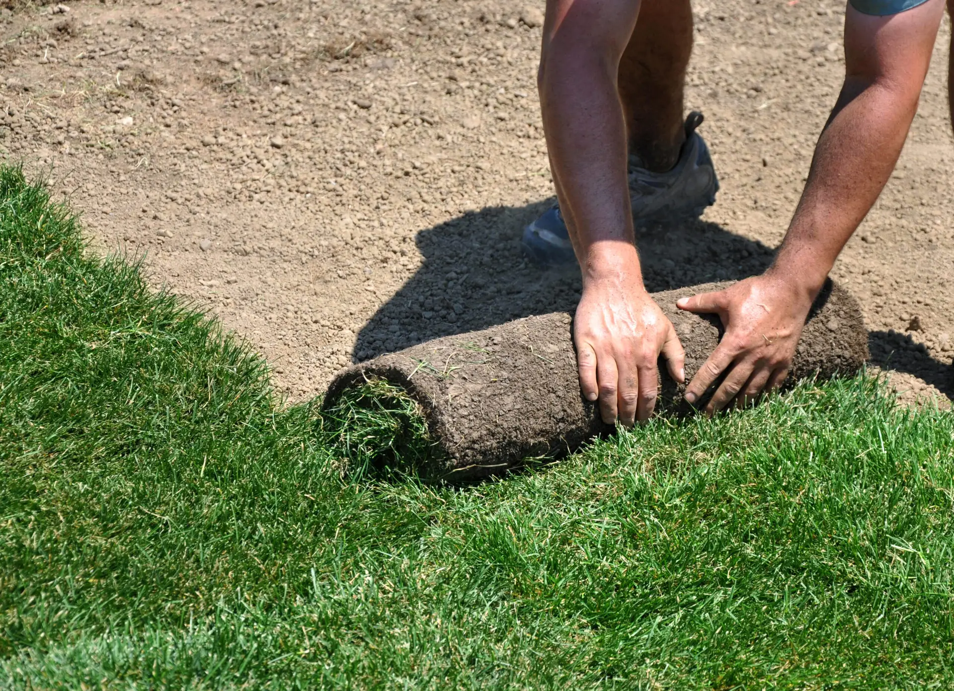 Sod Pricing - Genesis Sod Farm